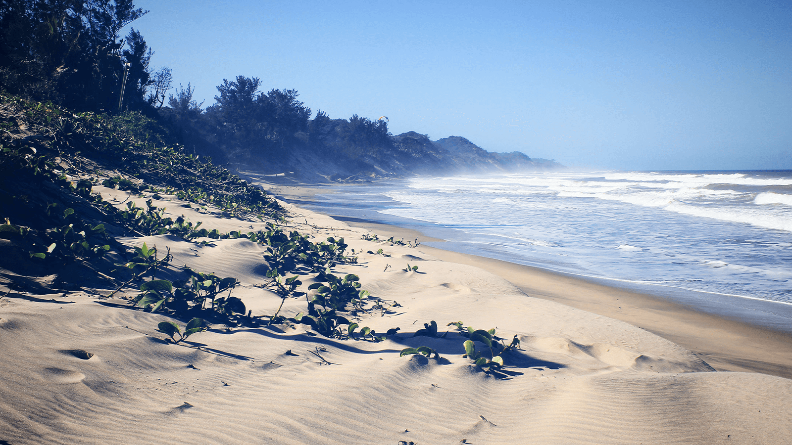 Cruises to / from Richards Bay - Top Rated Richards Bay Cruise Deals