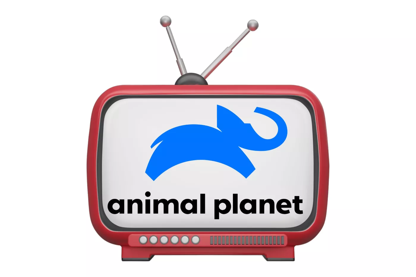 Animal Planet Logo Hd