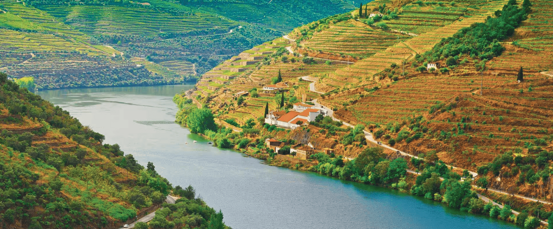 Cruises on the Douro River: Top Douro River deals